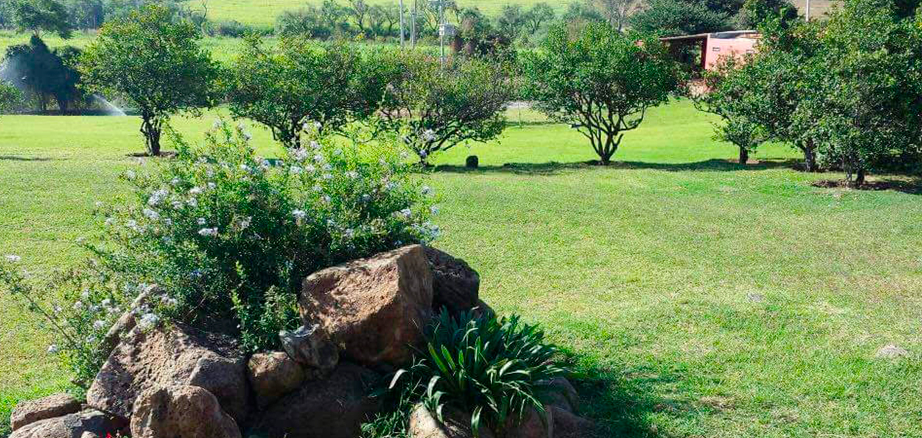 Cikan | Centro Integral Canino Adiestramiento Renta Venta Seguridad